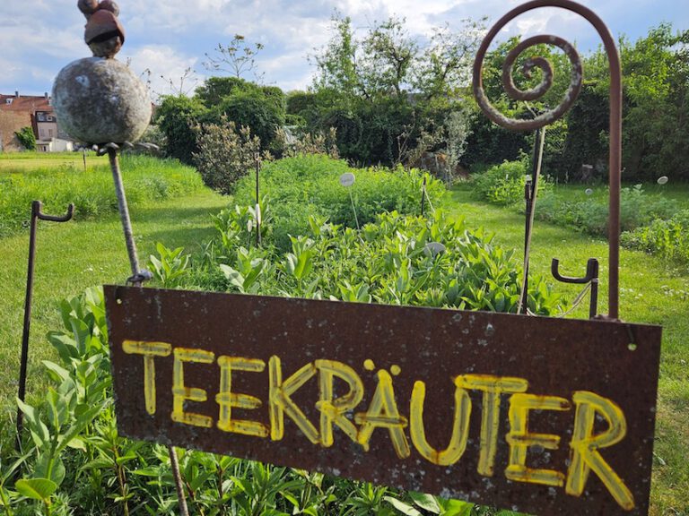 Maria Himmelfahrt | bienen-leben-in-bamberg.de